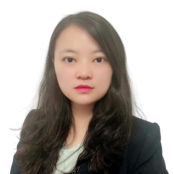 What Are the Different Types of Roller Shells and How to Choose?